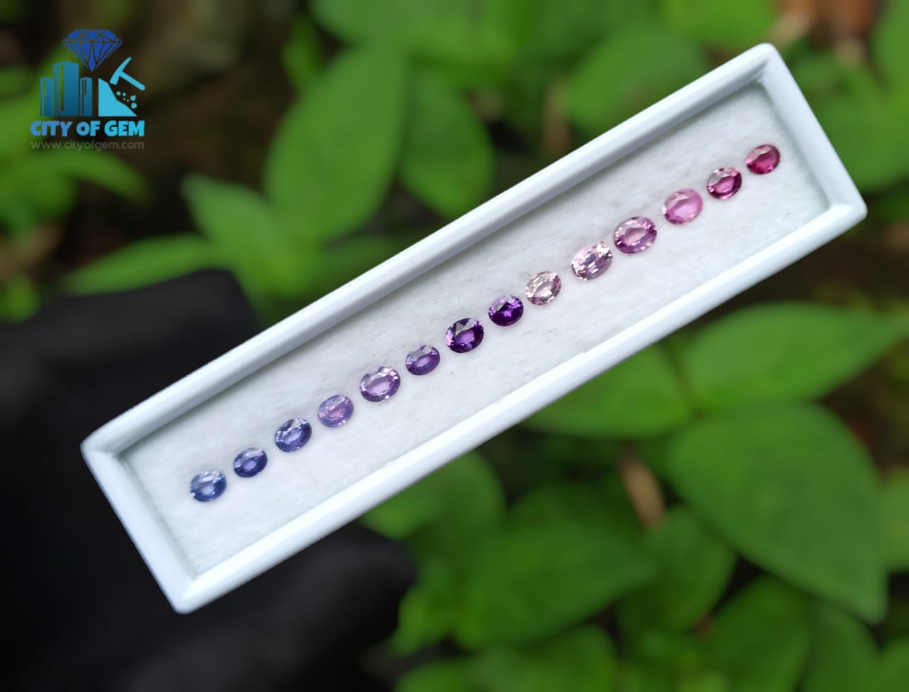 Natural Ceylon Sapphire Faceted Oval Shape Collection