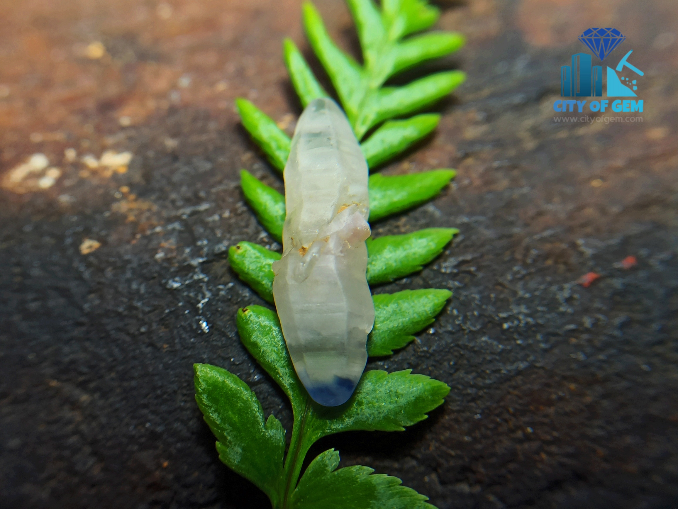 Ceylon Natural Sapphire Complete Crystal Couple from Rambuka Village