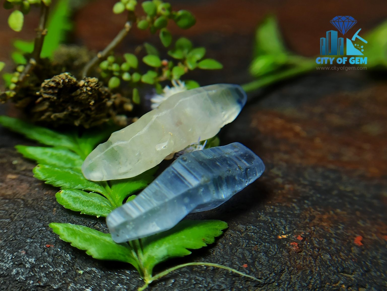 Ceylon Natural Sapphire Complete Crystal Couple from Rambuka Village