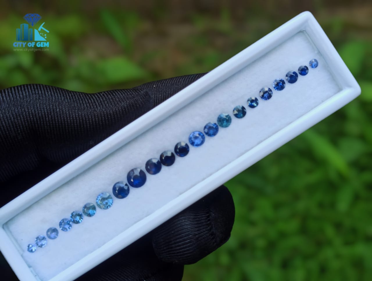 Blue Sapphire Round Collection with various shades of blue color ranges