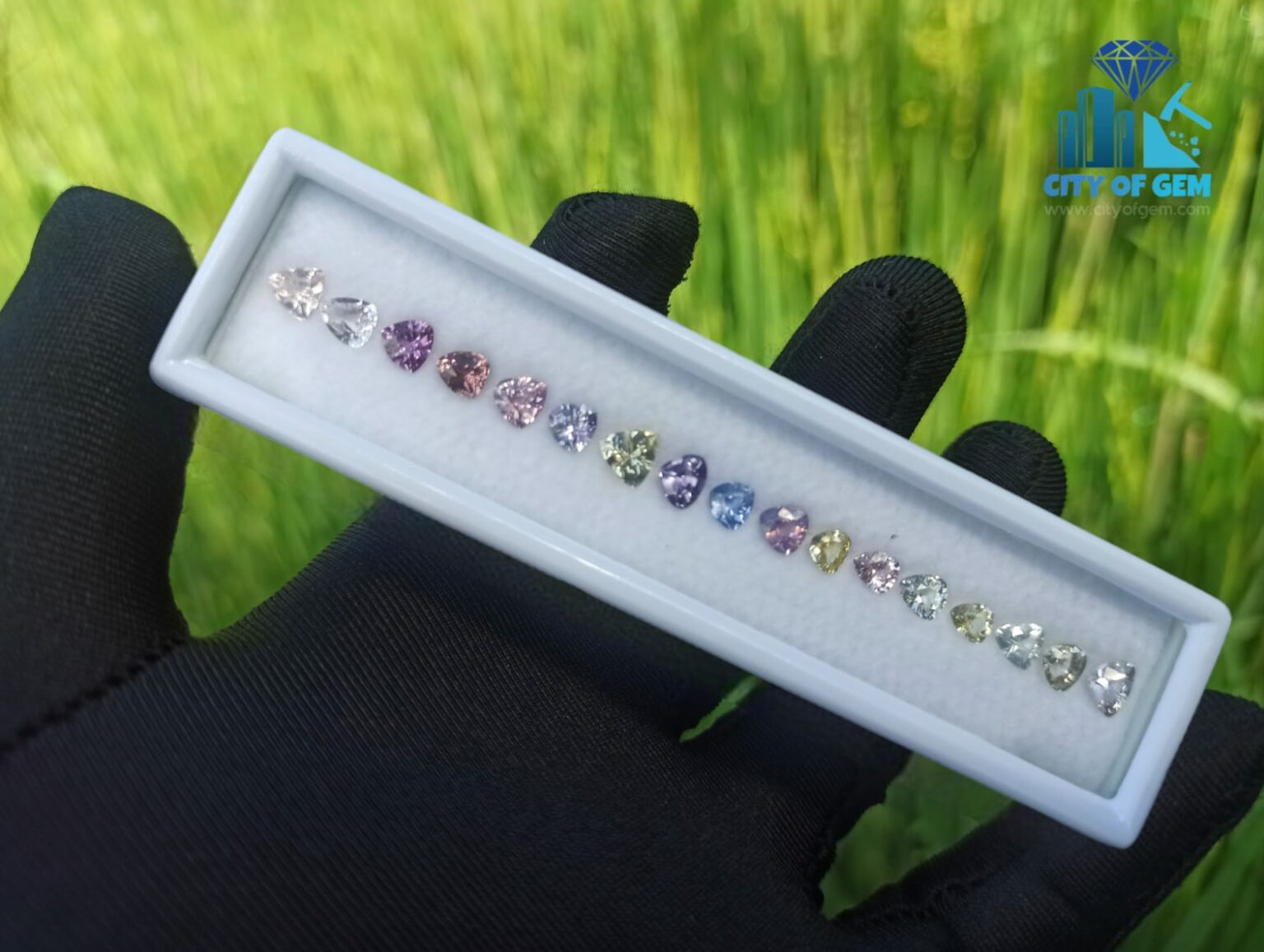 Ceylon Natural Sapphire Trilliant Cut Faceted Stone Collection