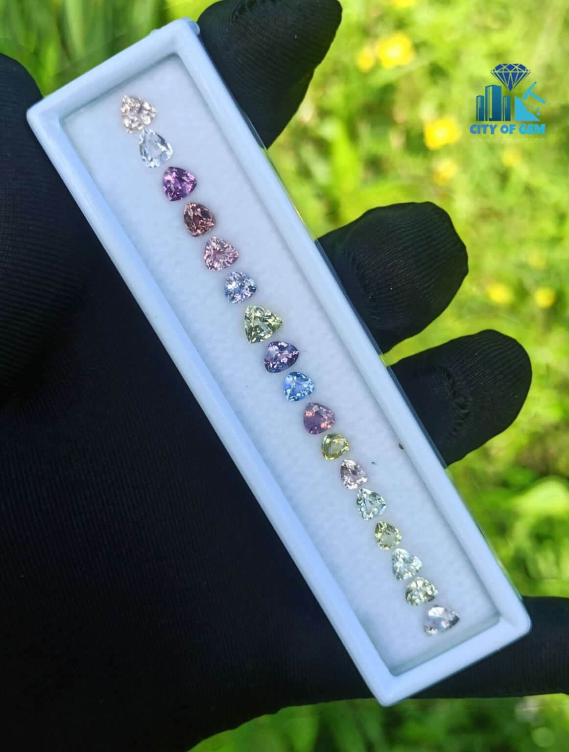 Ceylon Natural Sapphire Trilliant Cut Faceted Stone Collection