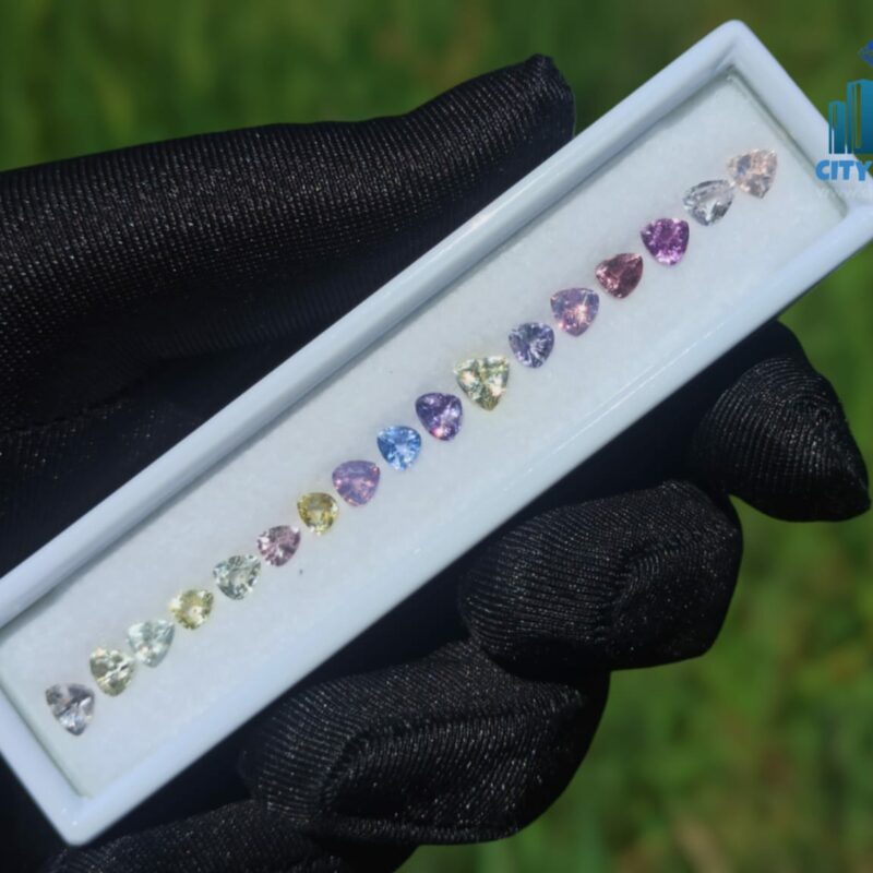 Ceylon Natural Sapphire Trilliant Cut Faceted Stone Collection