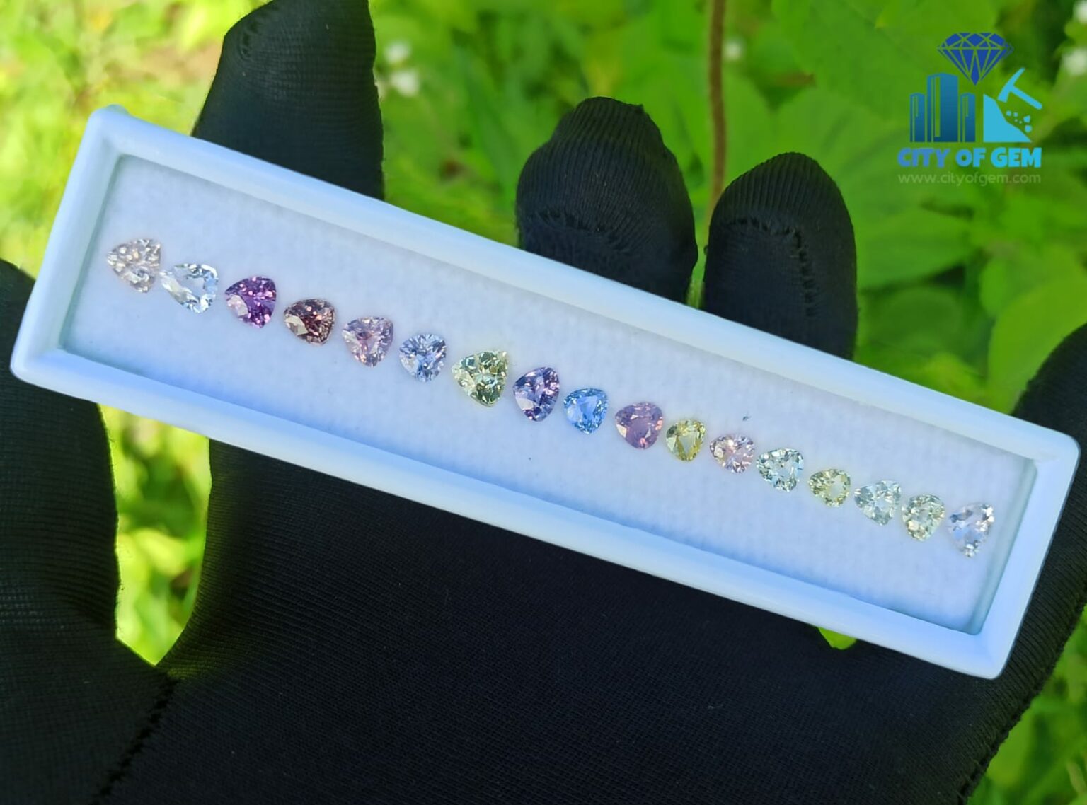 Ceylon Natural Sapphire Trilliant Cut Faceted Stone Collection