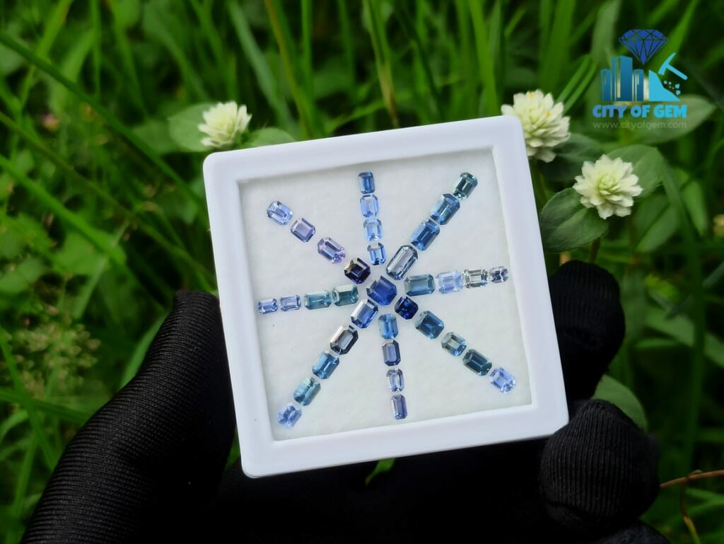 Ceylon Blue Sapphire Octagon Shape Faceted Stone Collection