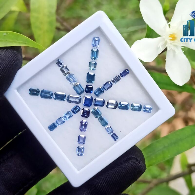 Ceylon Blue Sapphire Octagon Shape Faceted Stone Collection