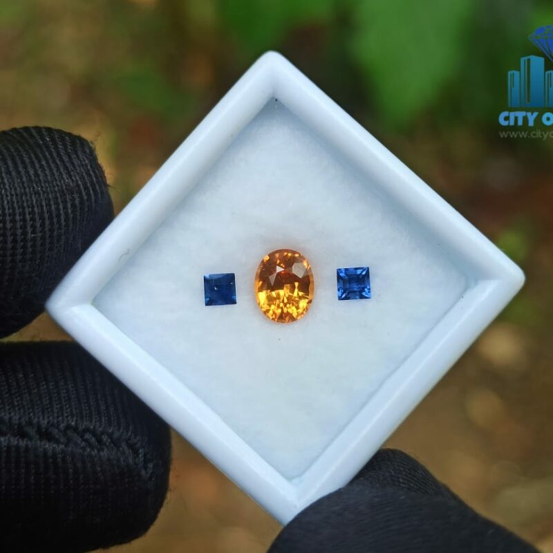 Natural Spessartite Garnet & Ceylon Blue Sapphire Gemstones for Jewelry Design