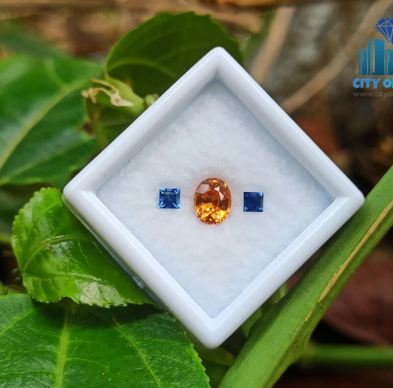 Natural Spessartite Garnet & Ceylon Blue Sapphire Gemstones for Jewelry Design