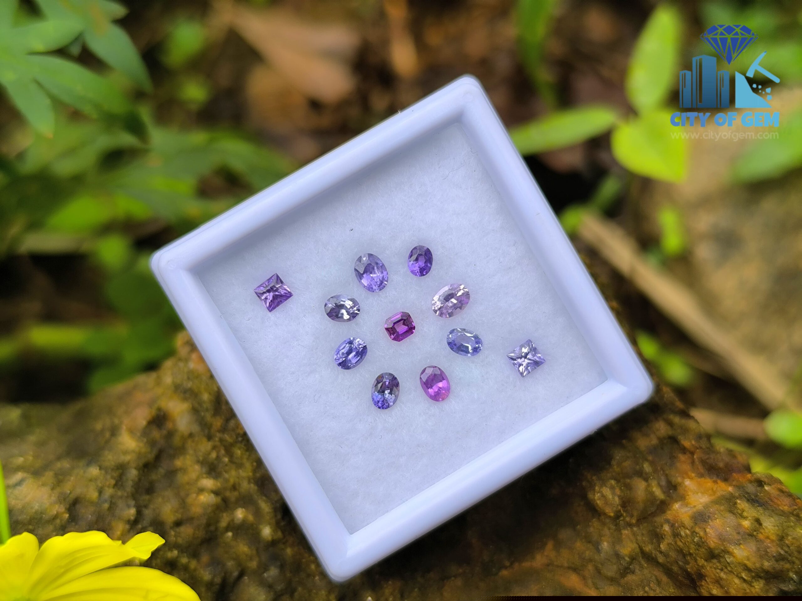Ceylon Natural Sapphire Collection for Jewelry Designs