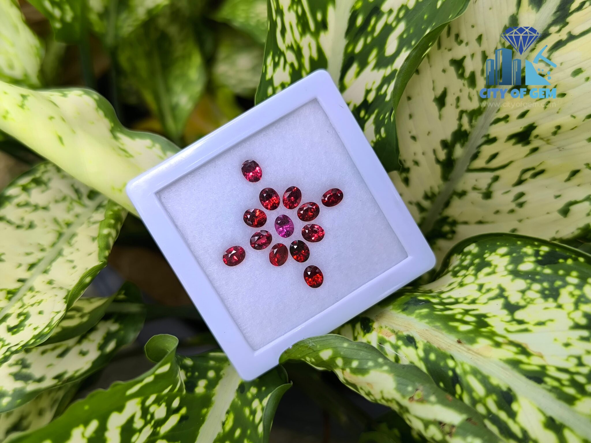 Ceylon Natural Red & Pink Garnet Collection for Jewelry Designs