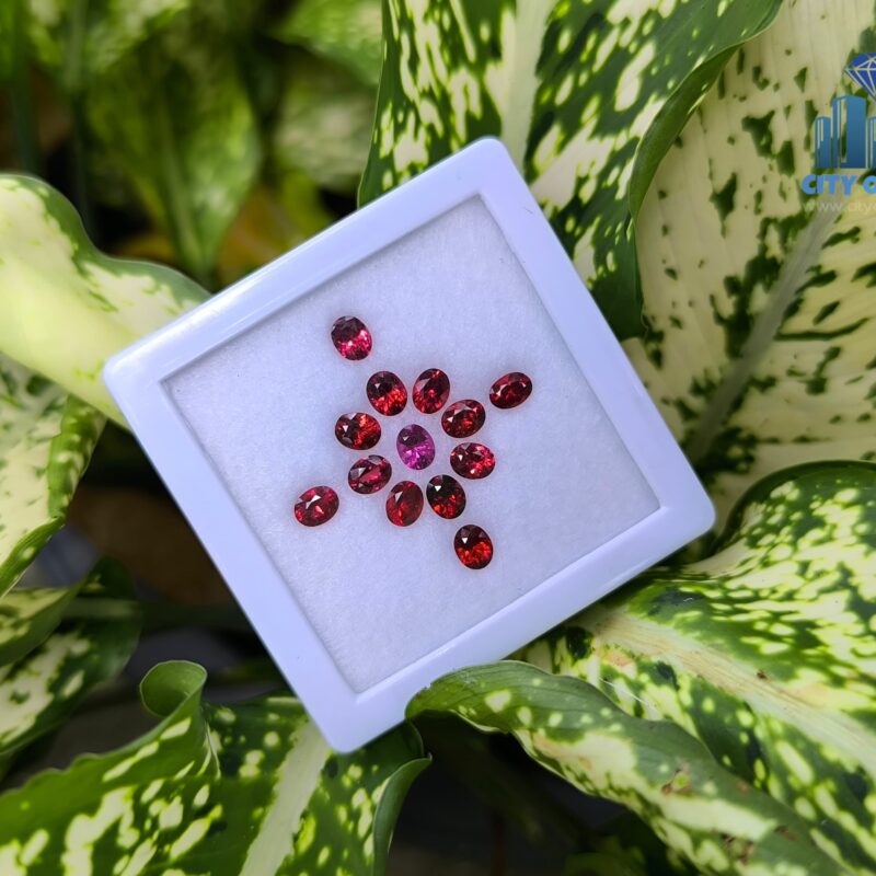 Ceylon Natural Red & Pink Garnet Collection for Jewelry Designs