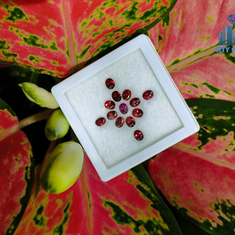 Ceylon Natural Red & Pink Garnet Collection for Jewelry Designs