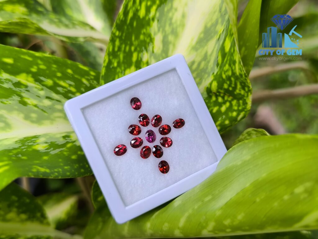 Ceylon Natural Red & Pink Garnet Collection for Jewelry Designs