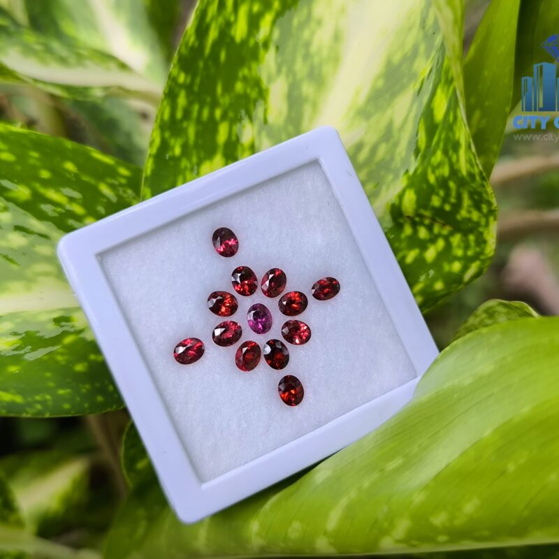 Ceylon Natural Red & Pink Garnet Collection for Jewelry Designs