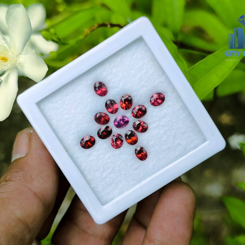 Ceylon Natural Red & Pink Garnet Collection for Jewelry Designs