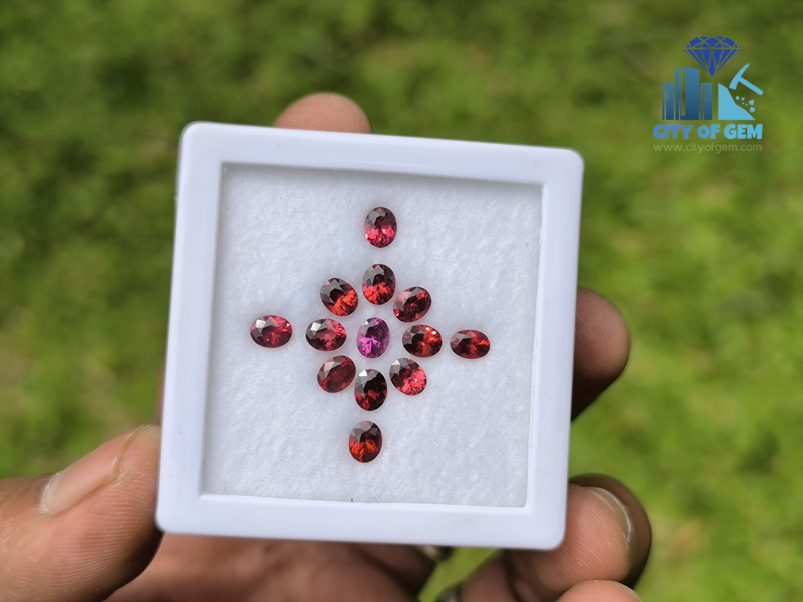Ceylon Natural Red & Pink Garnet Collection for Jewelry Designs