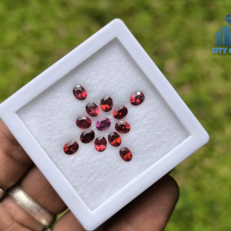 Ceylon Natural Red & Pink Garnet Collection for Jewelry Designs