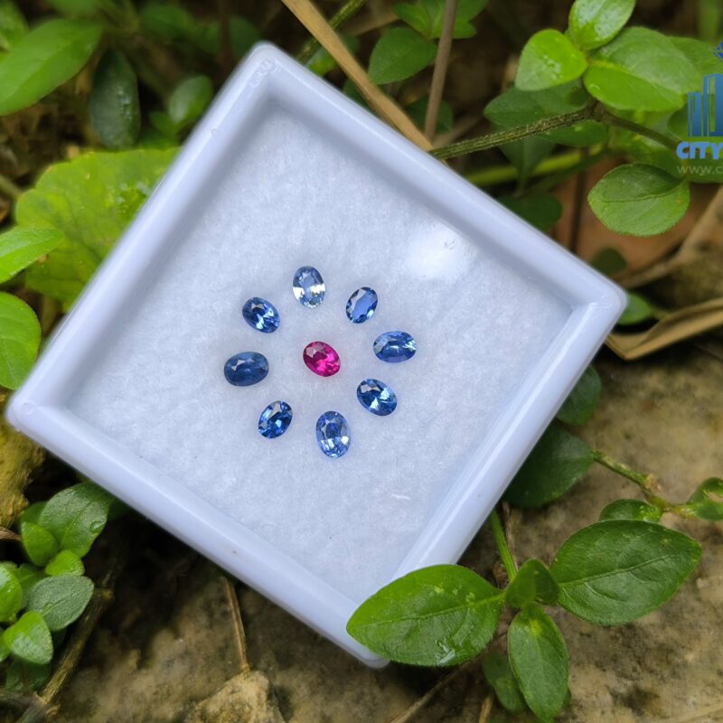 Ceylon Natural Ruby & Blue Sapphires Collection for Jewelry Designs