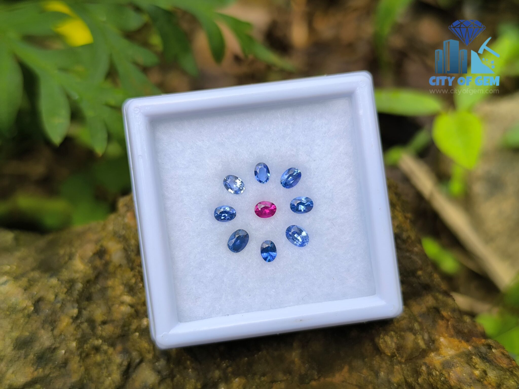 Ceylon Natural Ruby & Blue Sapphires Collection for Jewelry Designs