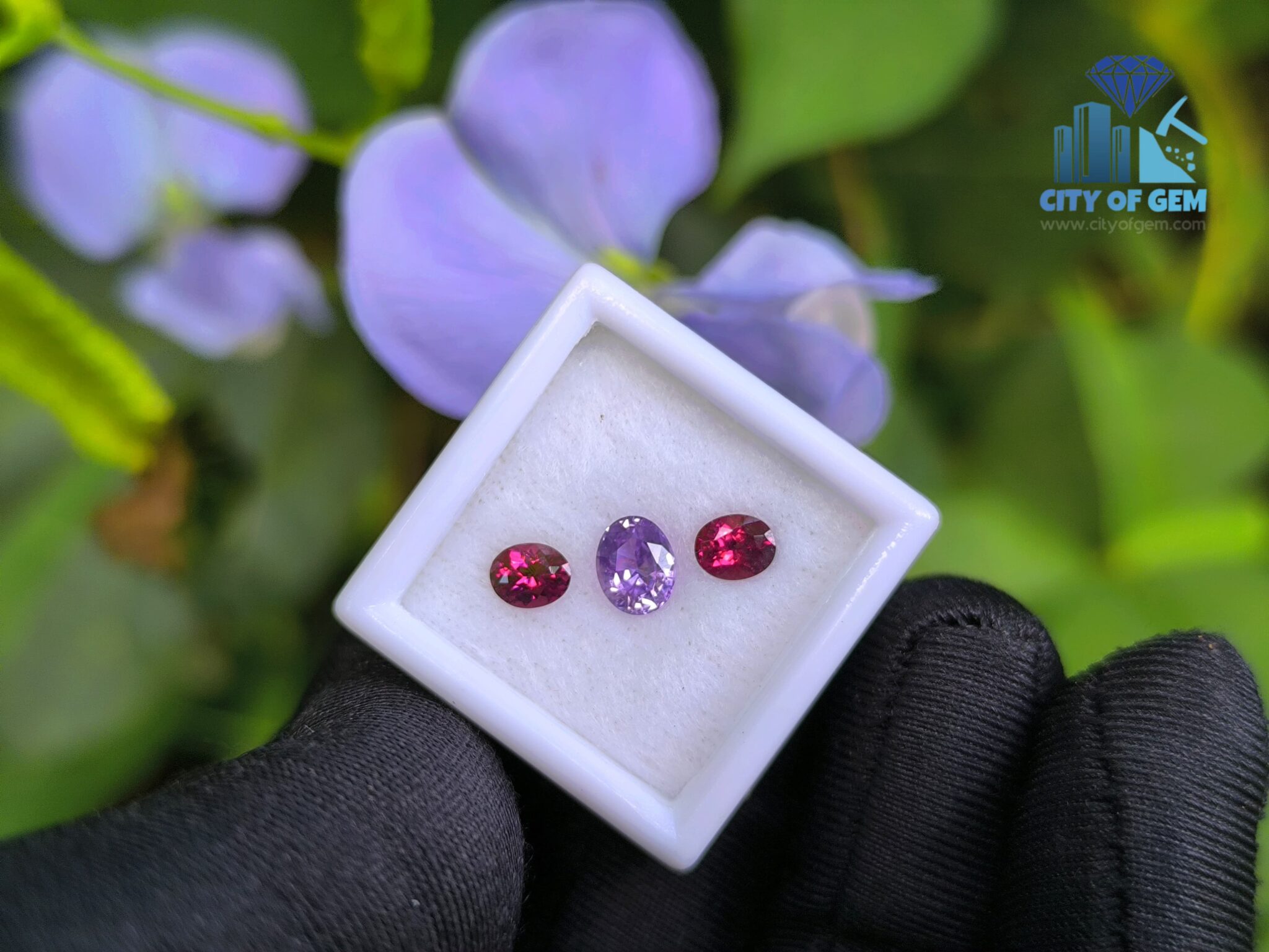 Ceylon Natural Purple Sapphire and Red Garnet Oval Pair for Jewelry Designs