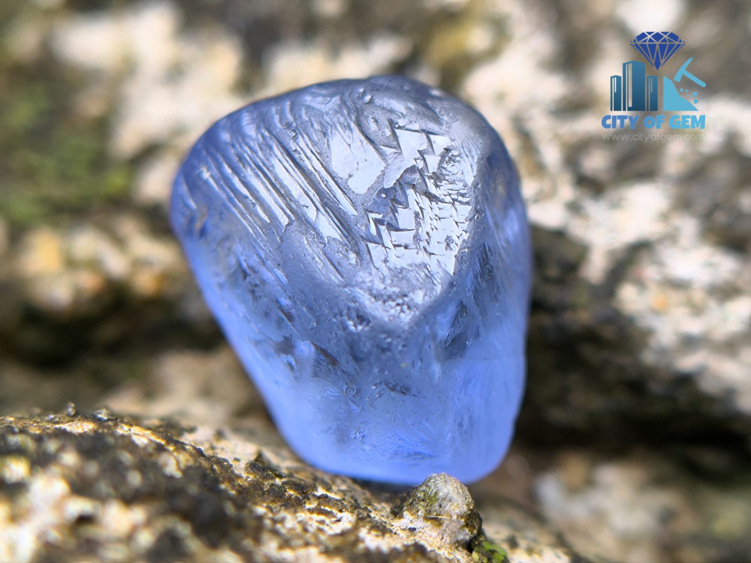 FACET GRADE CEYLON NATURAL BLUE SAPPHIRE ALLUVIAL ROUGH