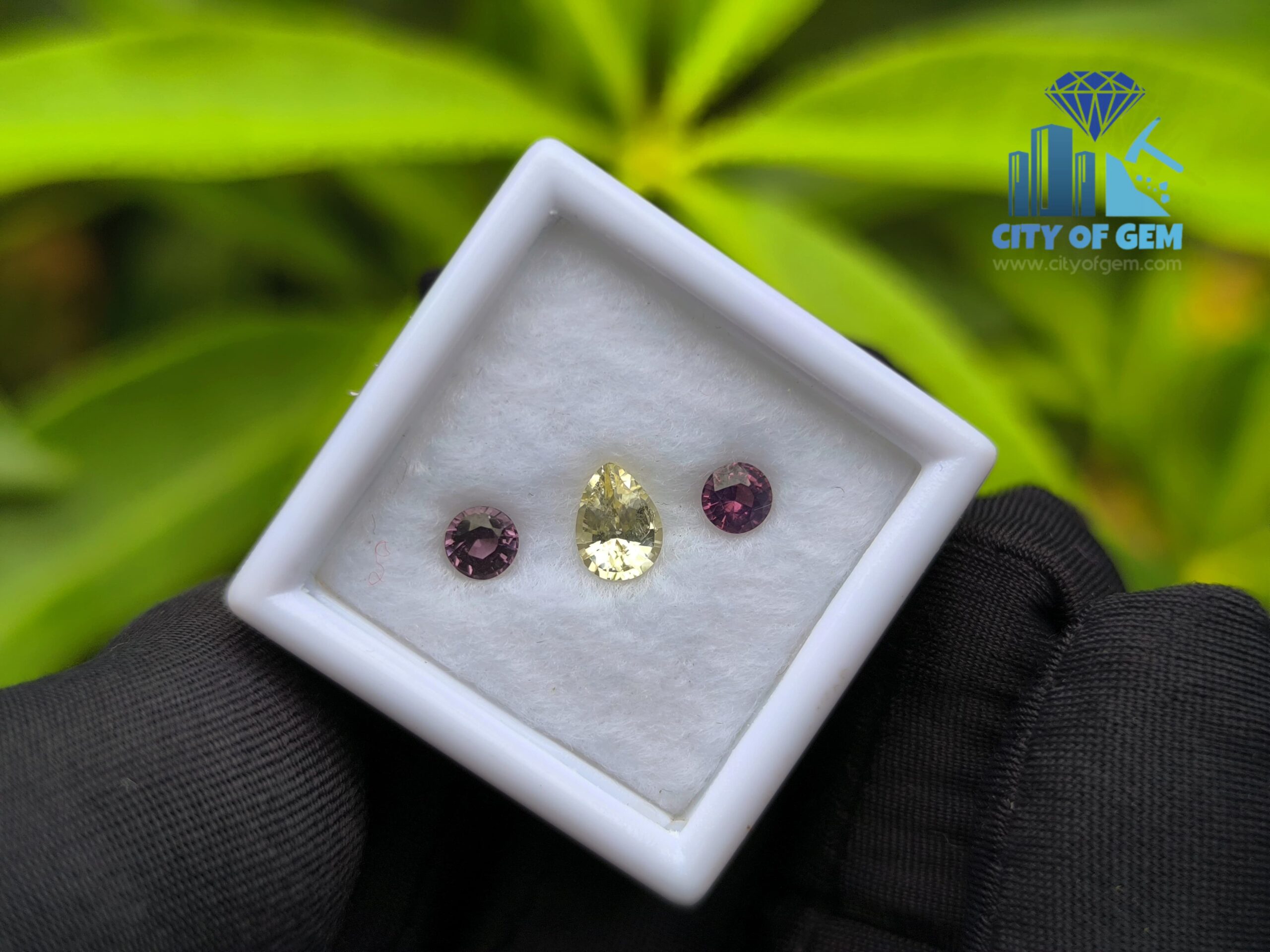 Ceylon Natural Yellow Sapphire & Spinel Pair for Jewelry Designs