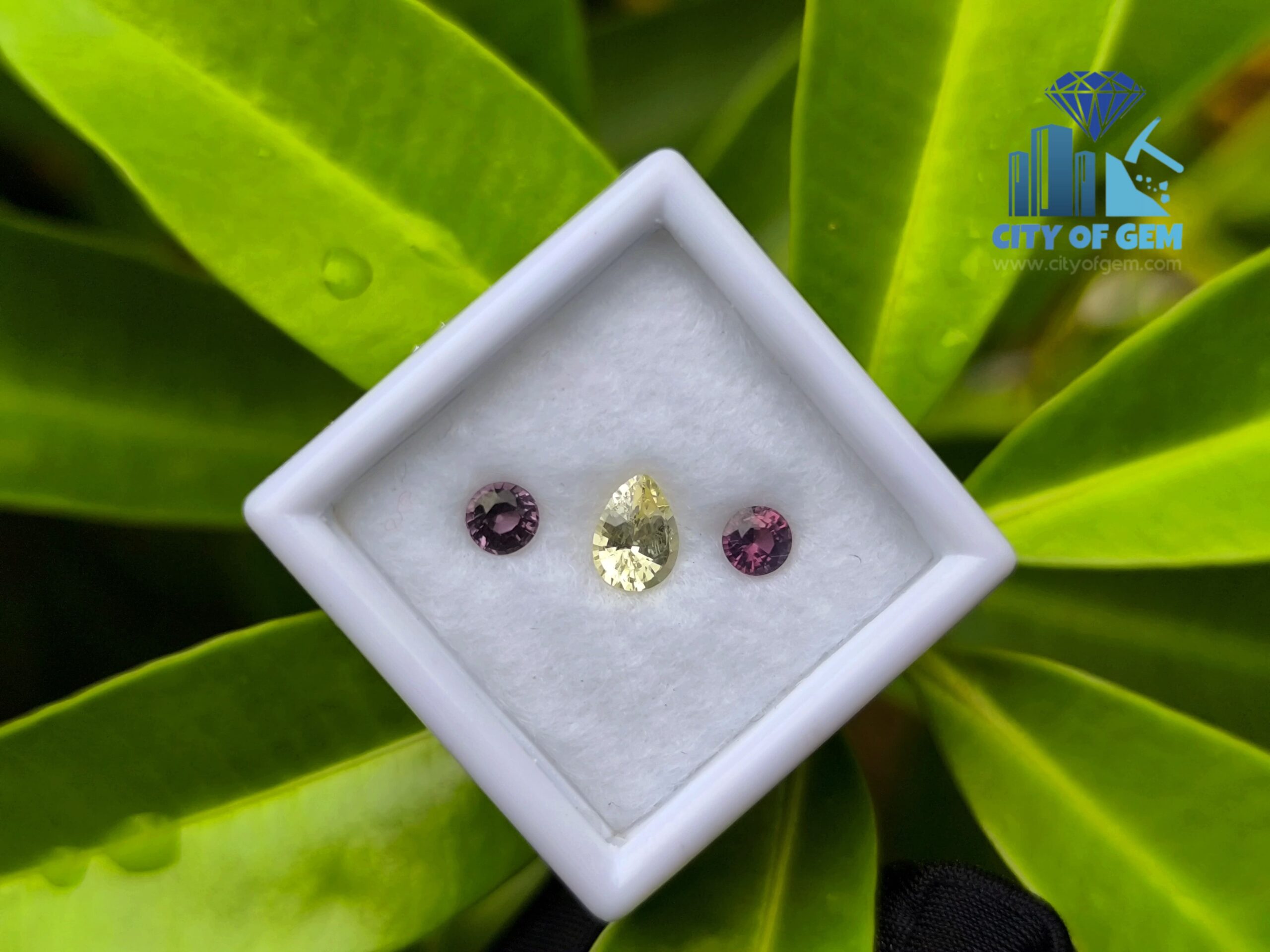 Ceylon Natural Yellow Sapphire & Spinel Pair for Jewelry Designs