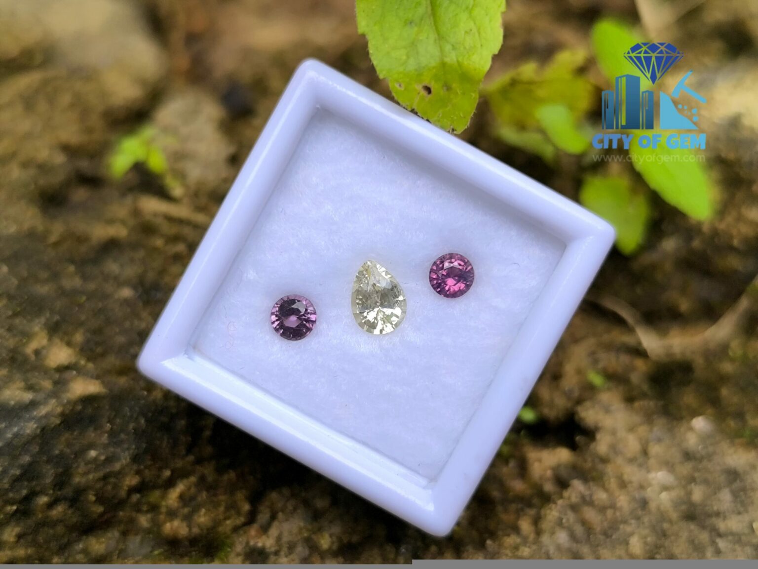 Ceylon Natural Yellow Sapphire & Spinel Pair for Jewelry Designs