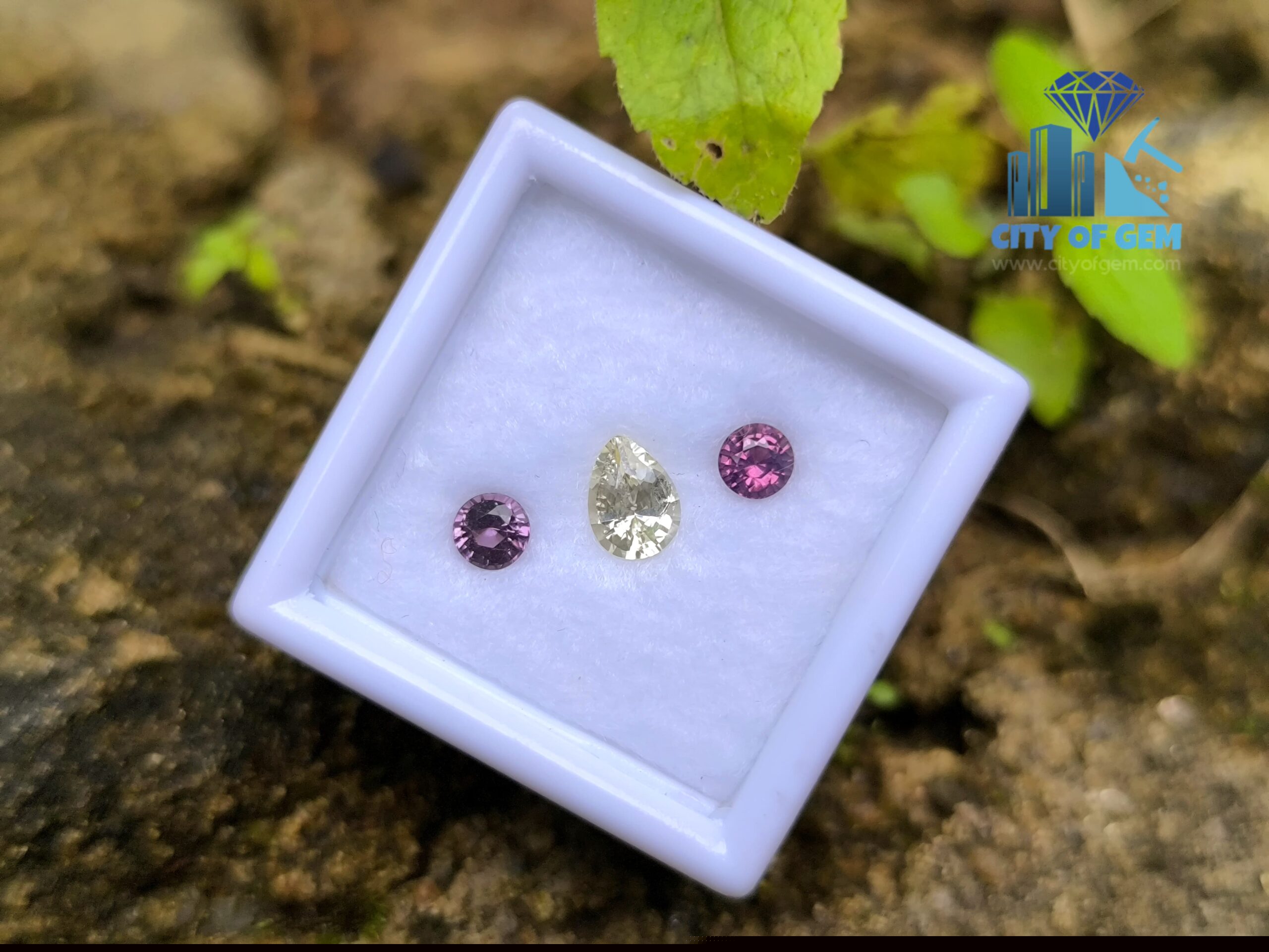 Ceylon Natural Yellow Sapphire & Spinel Pair for Jewelry Designs