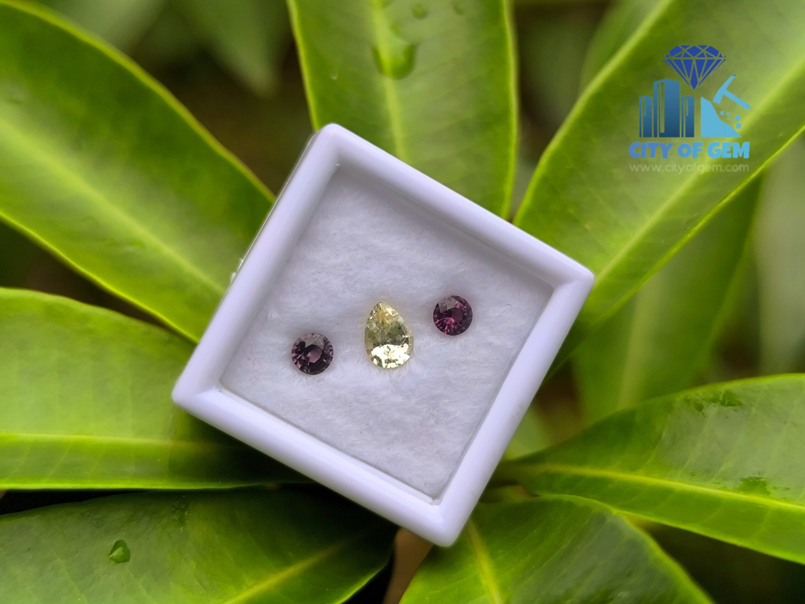 Ceylon Natural Yellow Sapphire & Spinel Pair for Jewelry Designs