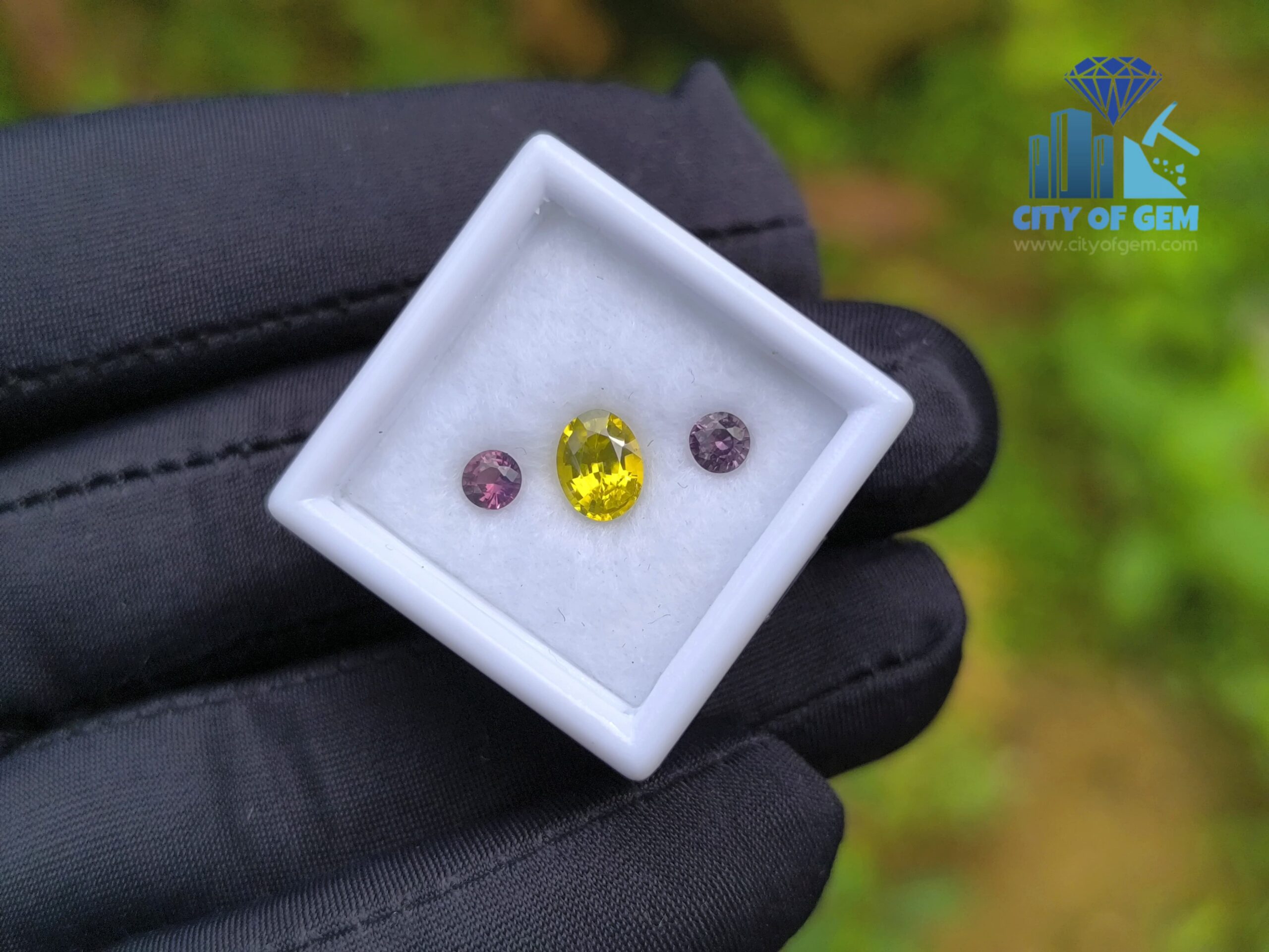 Ceylon Natural Spinel Pair & Zircon Stone for Jewelry Designs