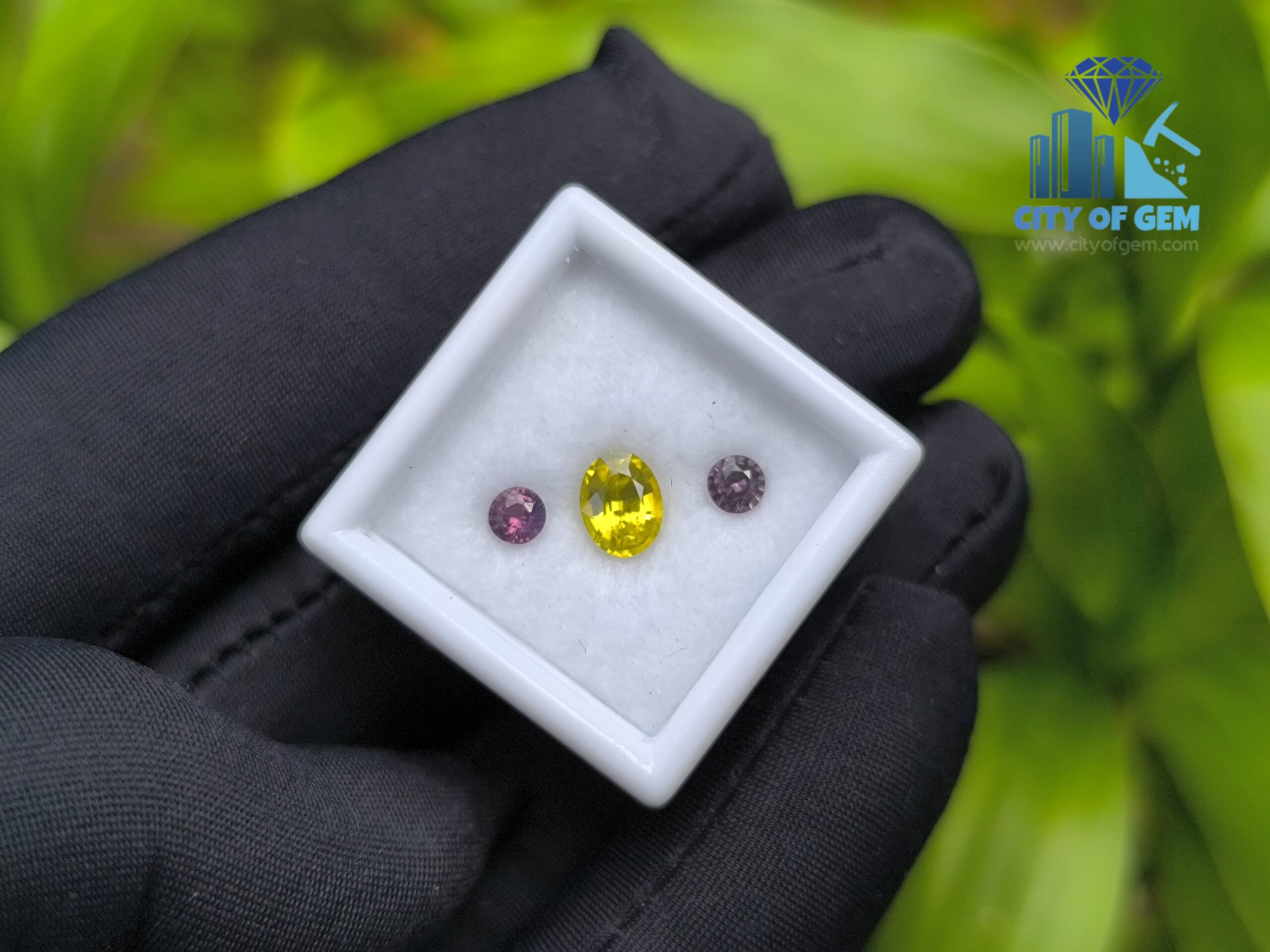Ceylon Natural Spinel Pair & Zircon Stone for Jewelry Designs