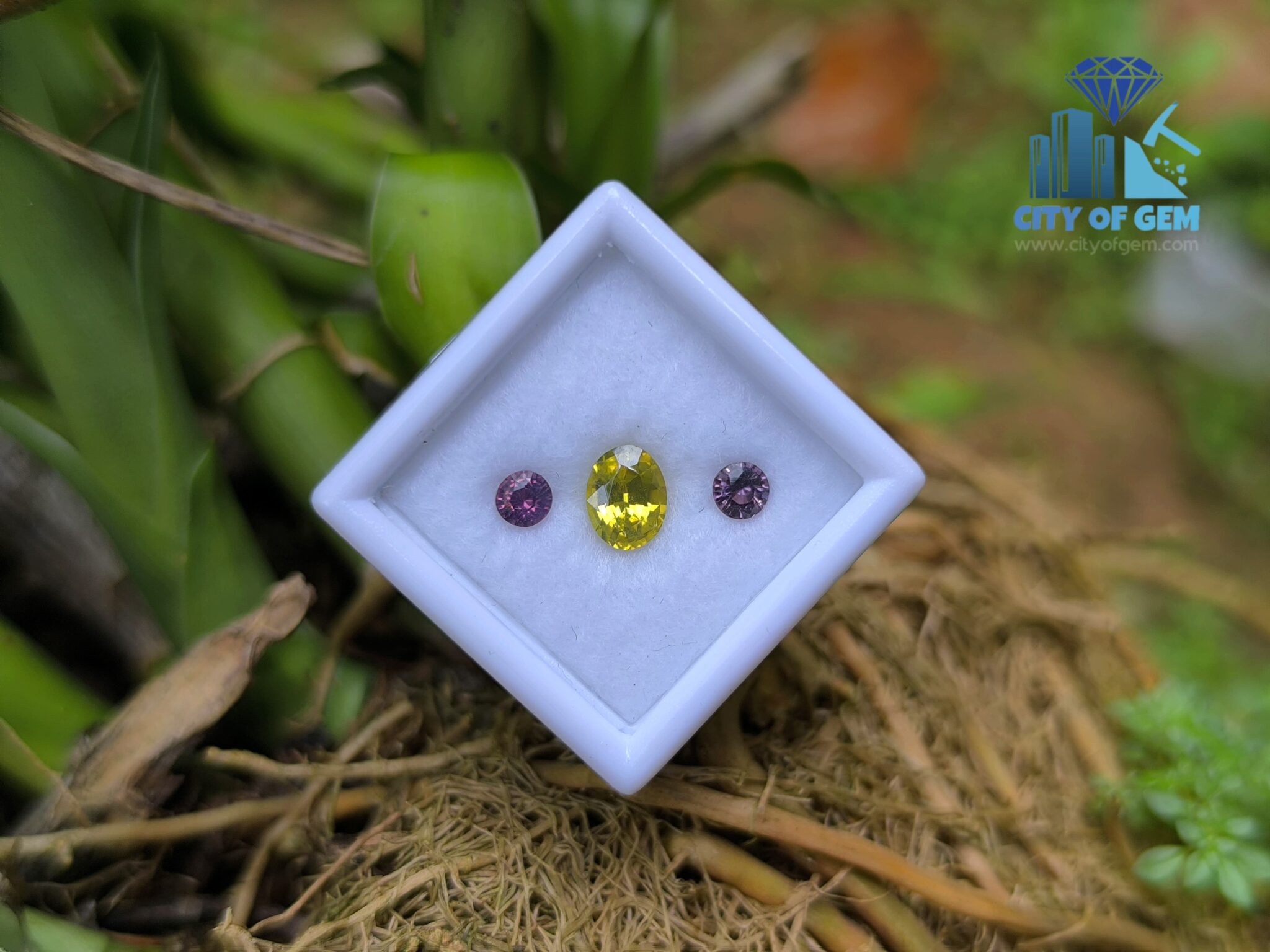 Ceylon Natural Spinel Pair & Zircon Stone for Jewelry Designs