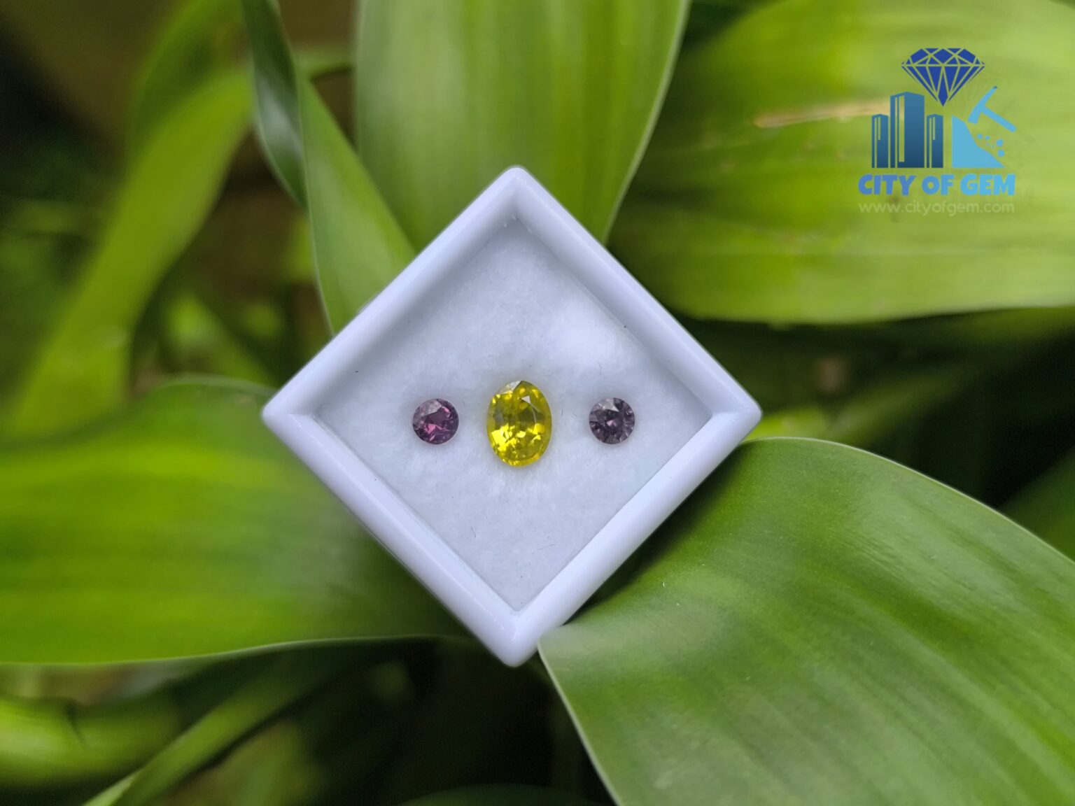 Ceylon Natural Spinel Pair & Zircon Stone for Jewelry Designs